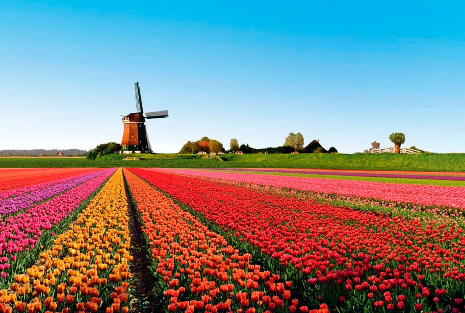 Aprenda holandês e percorra novos caminhos • HR Idiomas