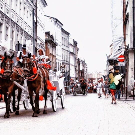 Vocabulário e Expressões básicas da Língua Polonesa • HR Idiomas