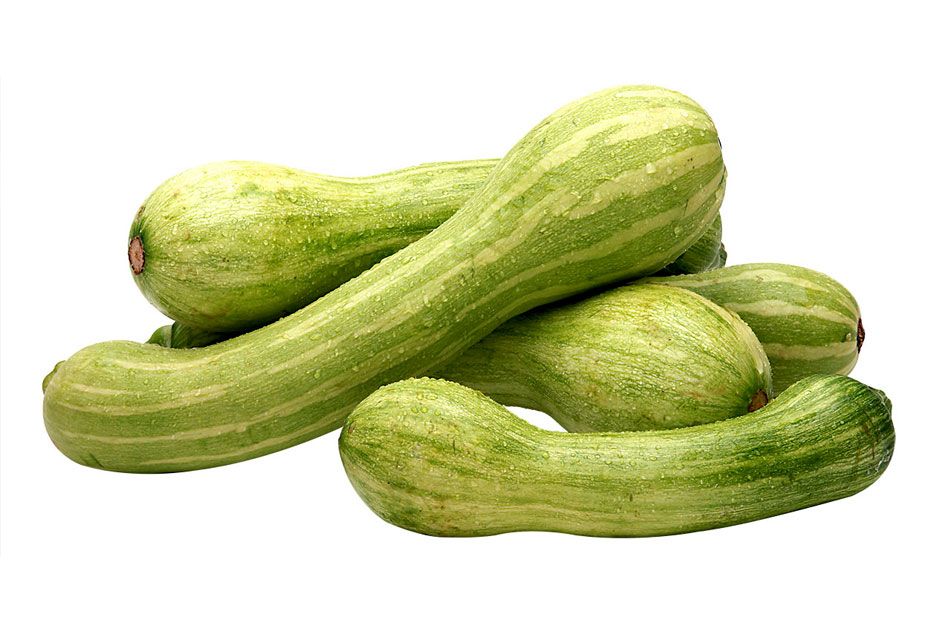 Origem da palavra "Abobrinha" • HR Idiomas